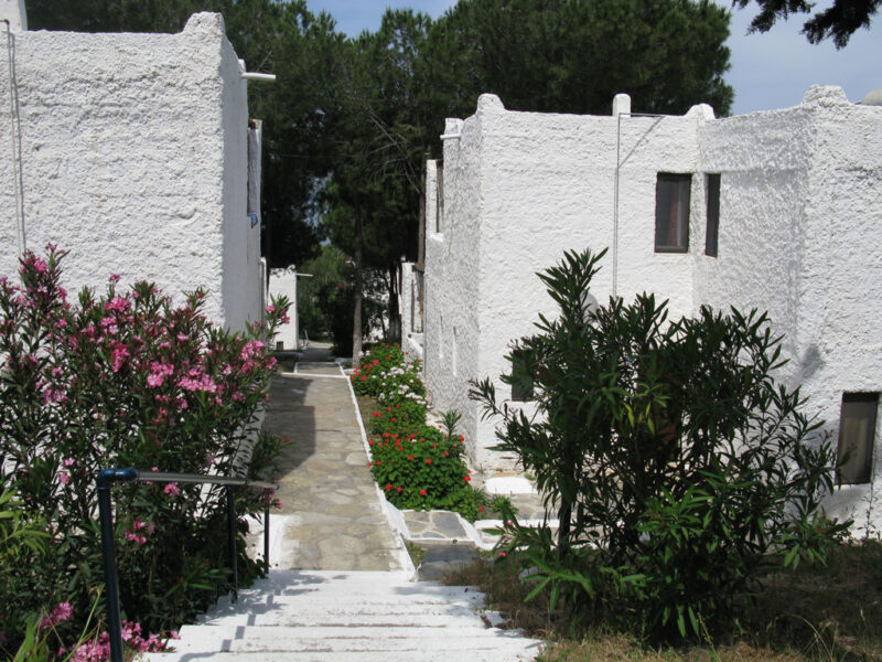 Devtaş Galeri – www.devtastugutreis.com